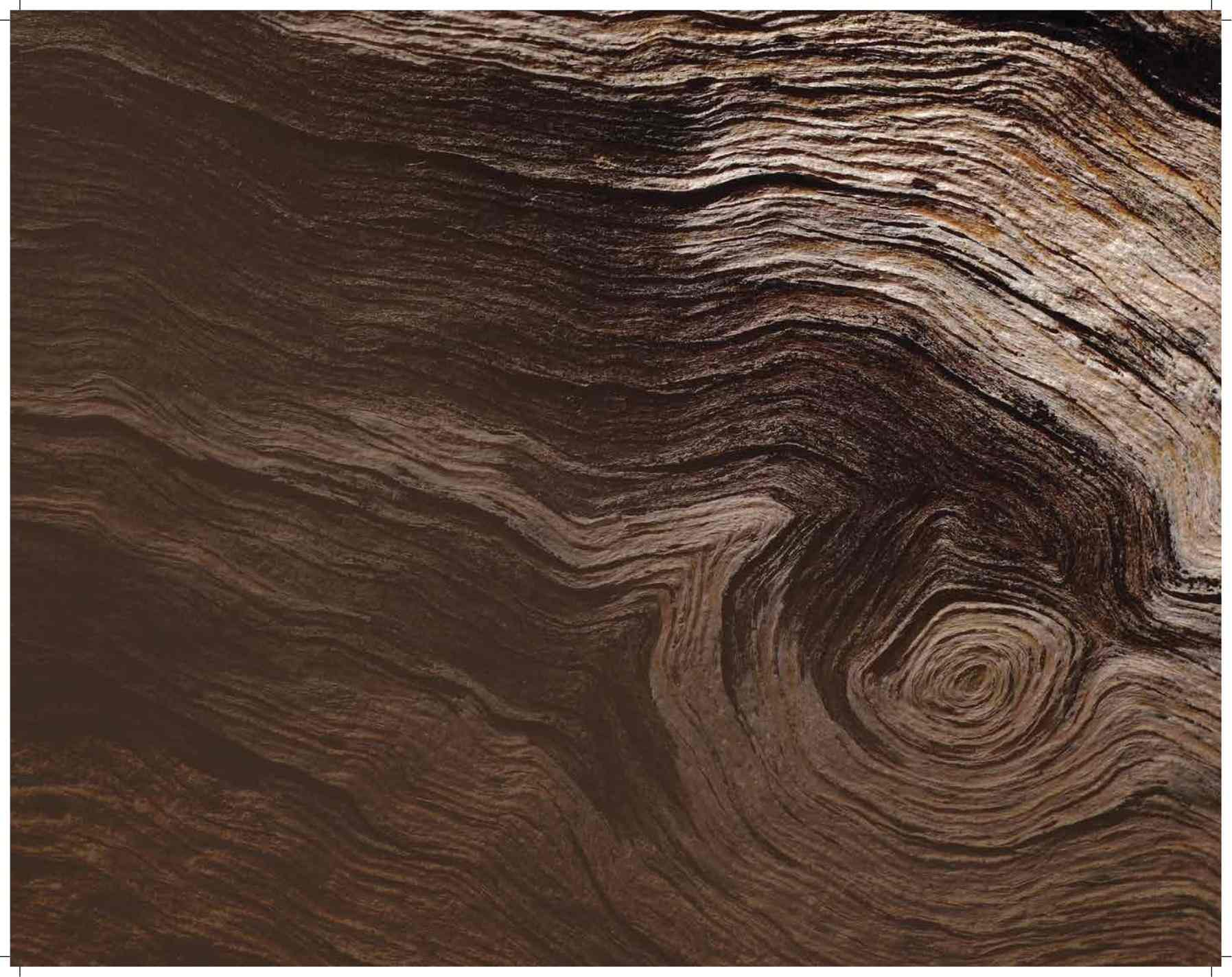 Shiva Timber Traders in Barabazar Circular,Kolkata - Best Timber ...