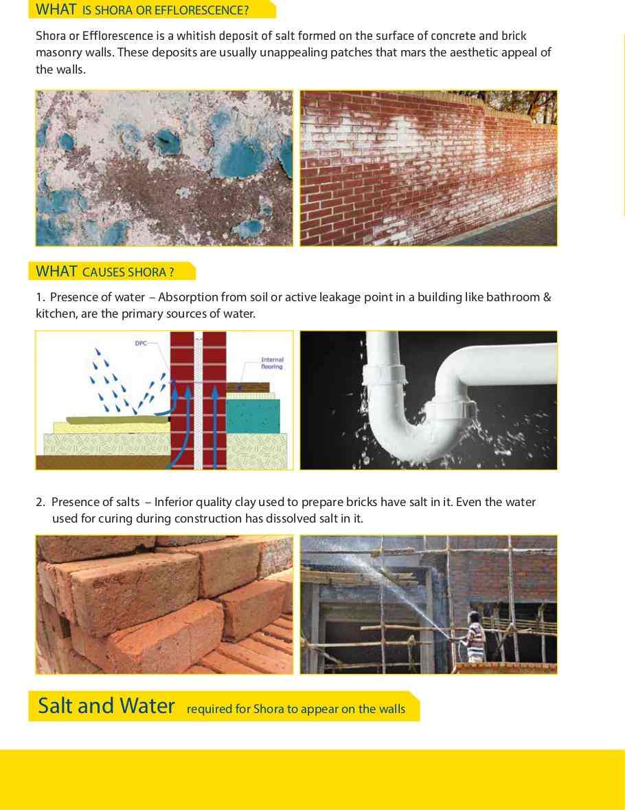 Richa Trading Company in Andheri East,Mumbai - Best Waterproofing ...