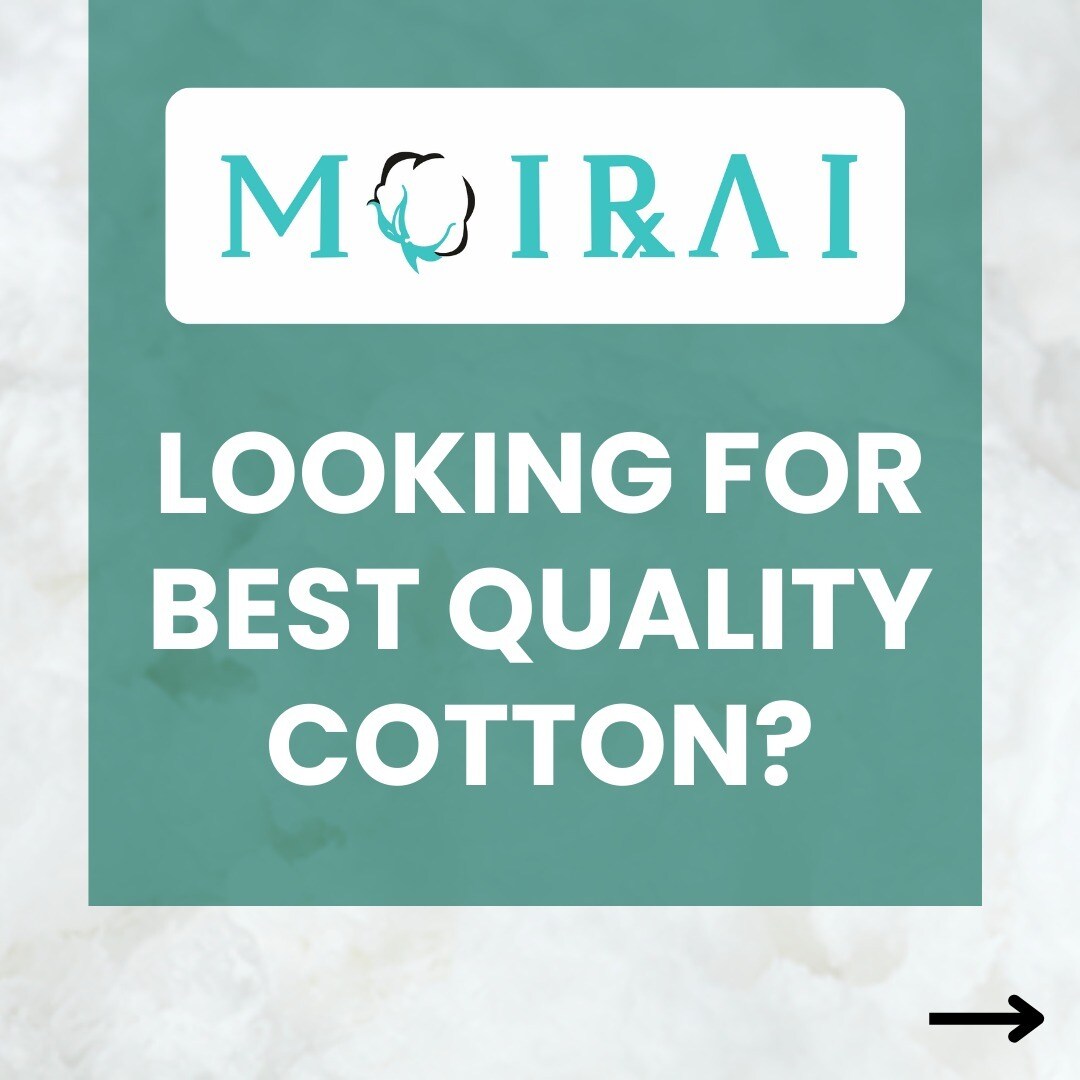 Moirai Cotton Pulp Pvt Ltd in Salemgarh,Adampur - Best near me in ...