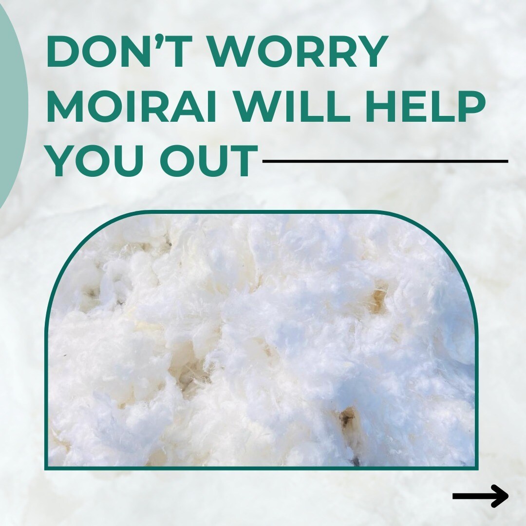 Moirai Cotton Pulp Pvt Ltd in Salemgarh,Adampur - Best near me in ...