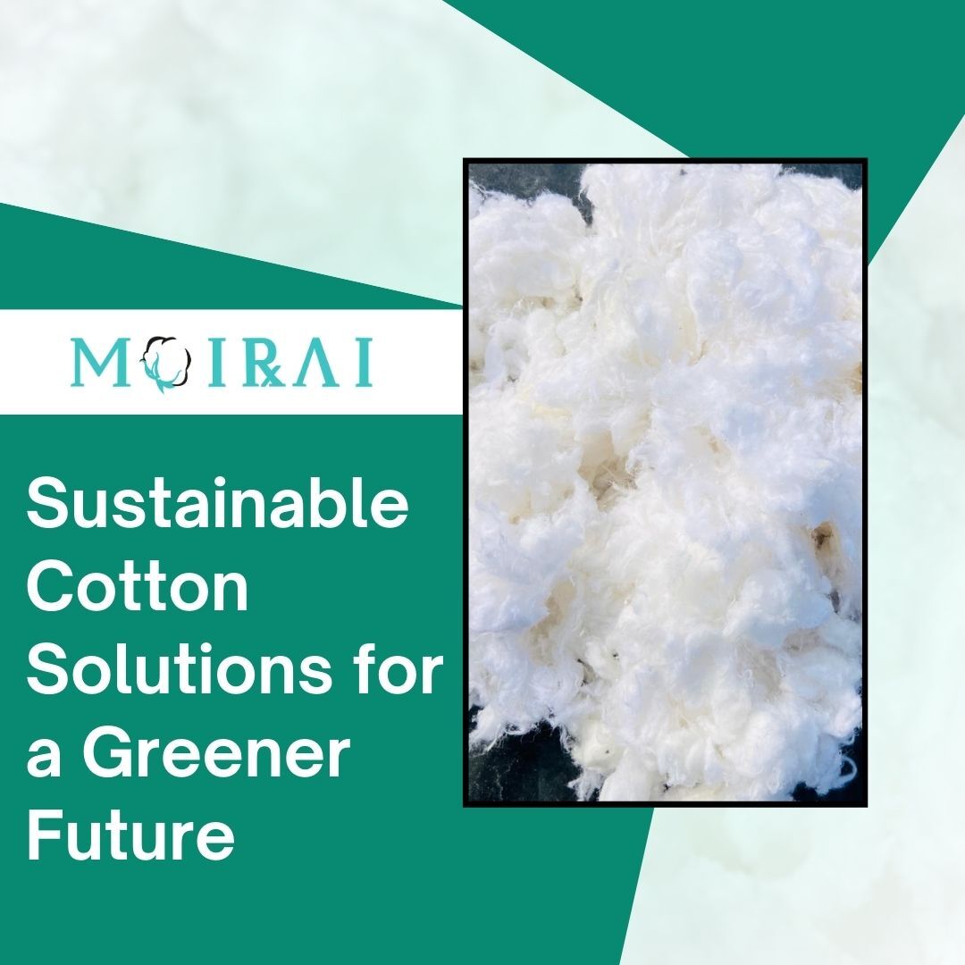 Moirai Cotton Pulp Pvt Ltd in Salemgarh,Adampur - Best near me in ...