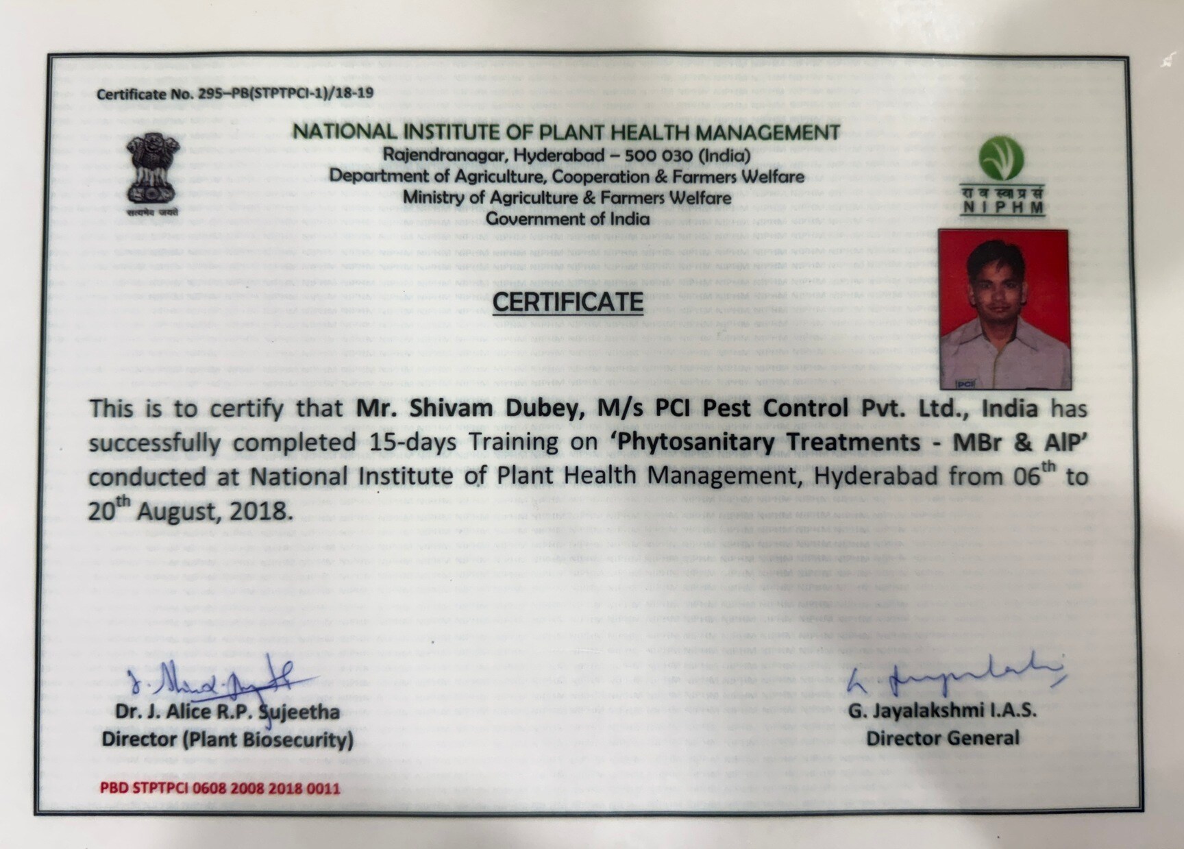Insectkill Pest Management in Satellite,Ahmedabad - Best near me in ...