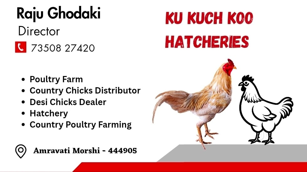 Ku Kuch Koo Hatcheries in Morshi, Amravati - Best Chicken Farming in ...