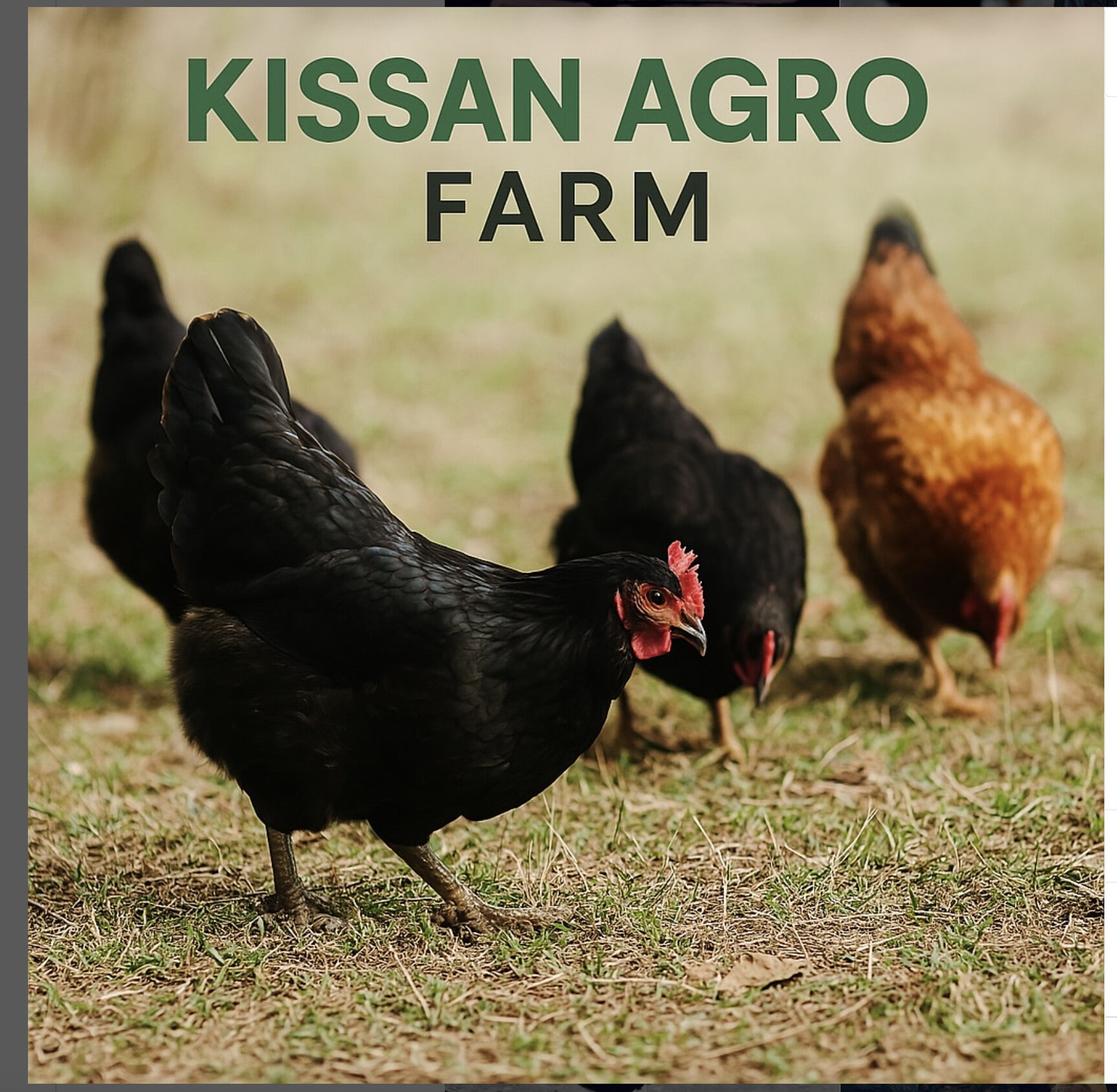 Kissan Agro Farm in Anantnag - Best Agro Farming Services in Anantnag ...