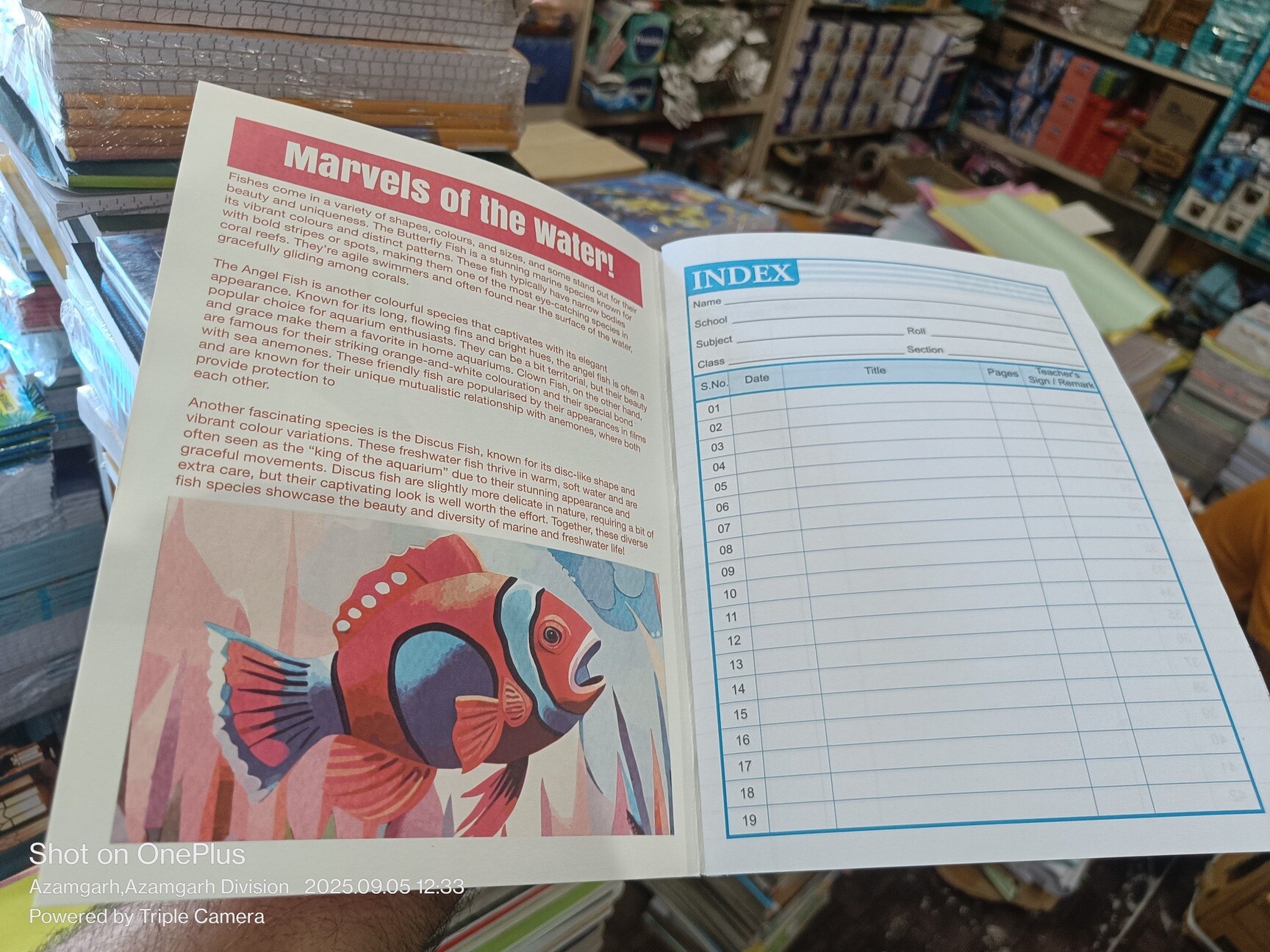 Dilip Book Depo in Farashtola, Azamgarh - Best Book Wholesalers in ...