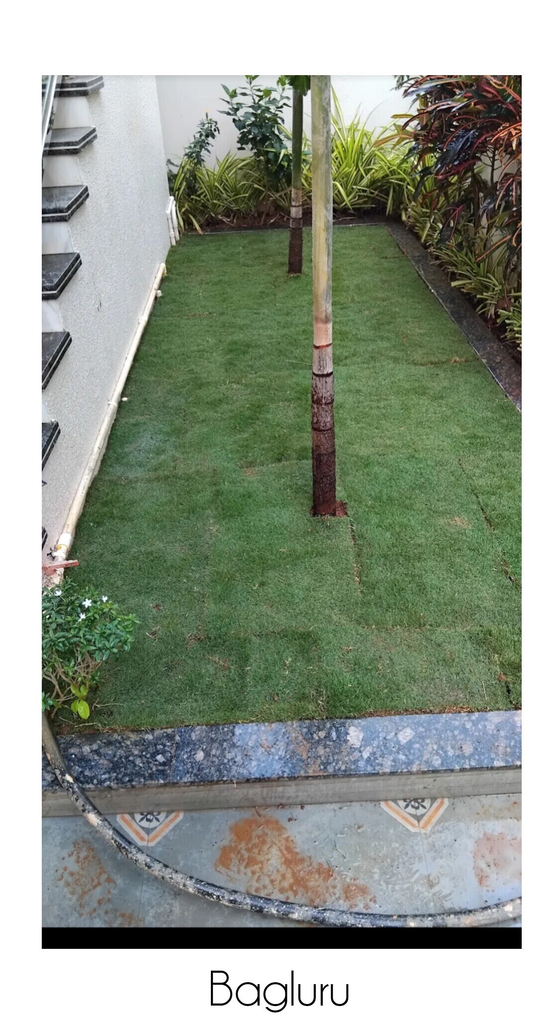 Namma Lawn Grass in Kundana,Bangalore - Best Parks near me in Bangalore ...