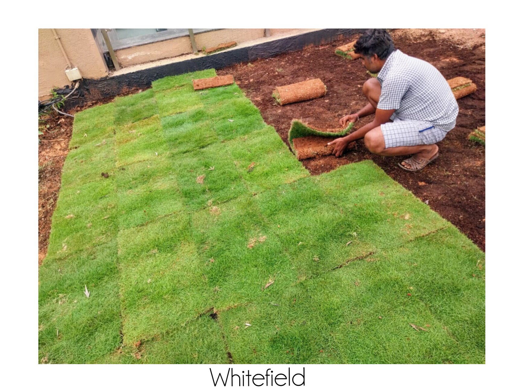 Namma Lawn Grass in Kundana,Bangalore - Best Parks near me in Bangalore ...