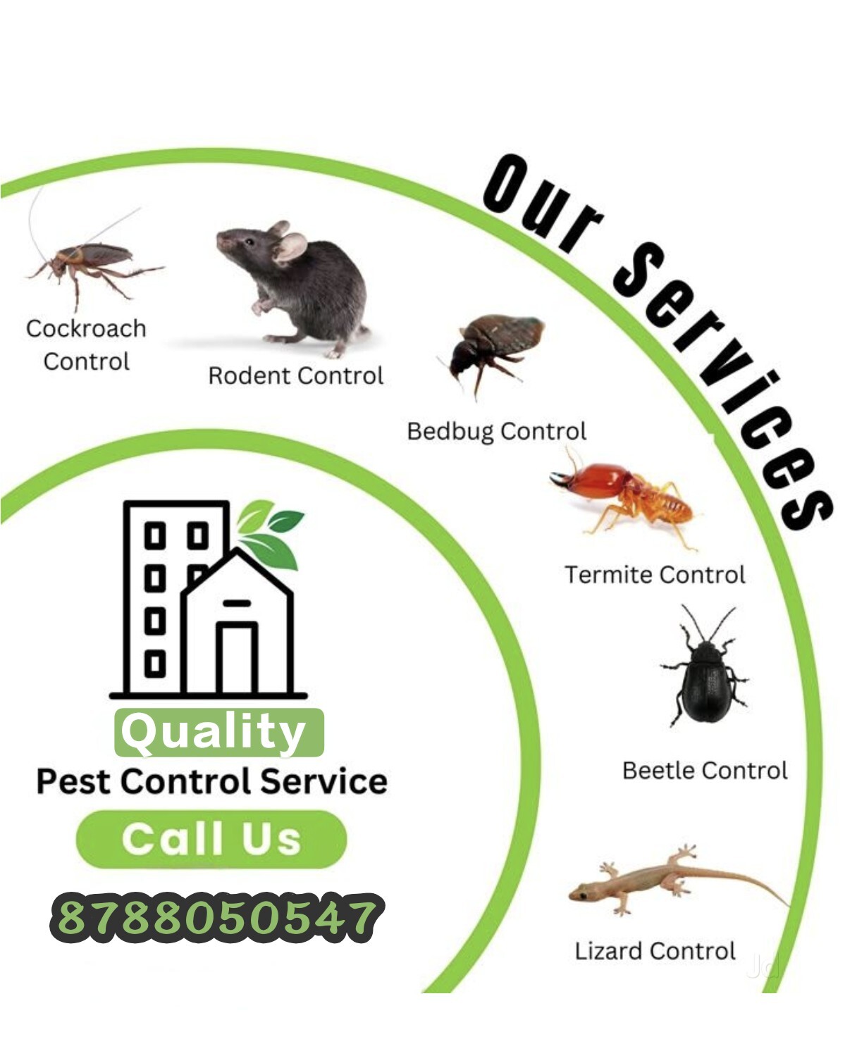 Quality Pest Control in Medad,Baramati - Best Chemists near me in ...