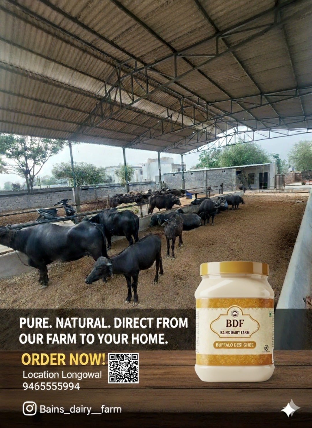 Bains Dairy Farm in Longowal,Barnala - Best Milk Dairy near me in ...