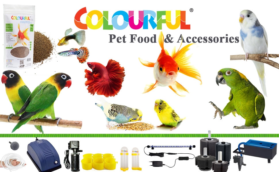 Colourful Inc in Chithode,Erode - Best Pet Shops near me in Erode ...