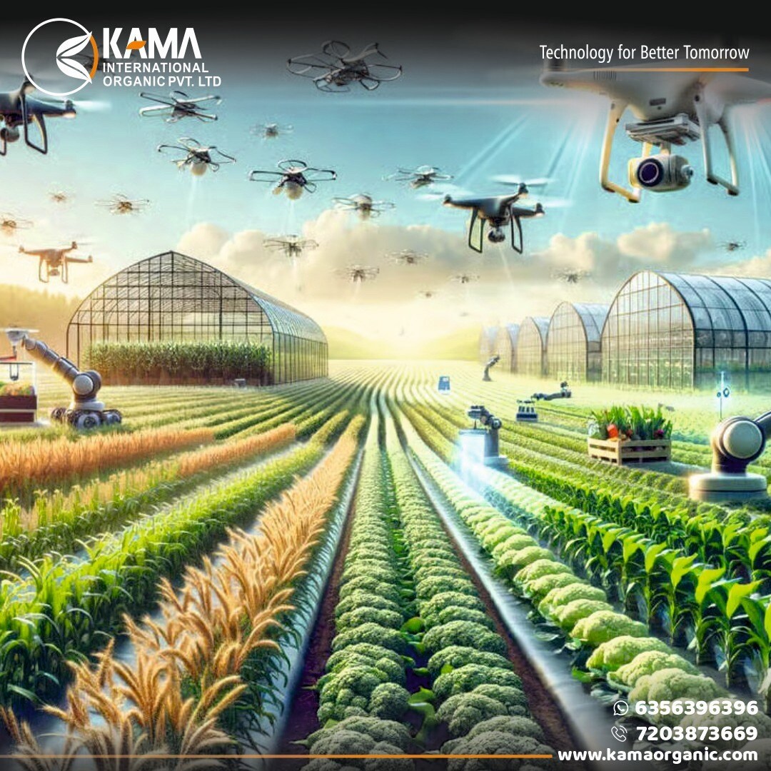 Kama International Organic Pvt Ltd ( Corporate Office) in Kudasan ...