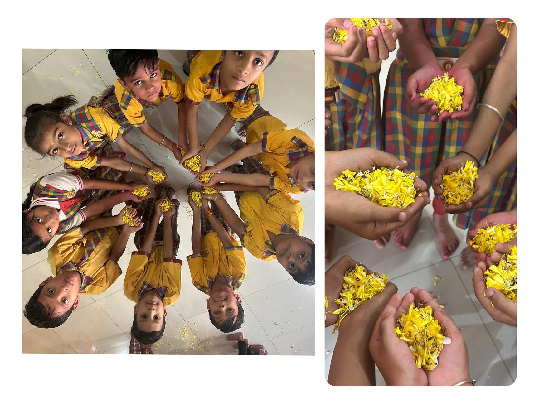 Vaidik Play School in Harda Khurd,Harda - Best Playgroups near me in ...