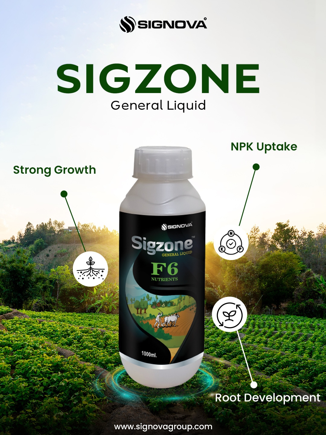 Signova Group Of Companies in Banjara Hills, Hyderabad - Best ...
