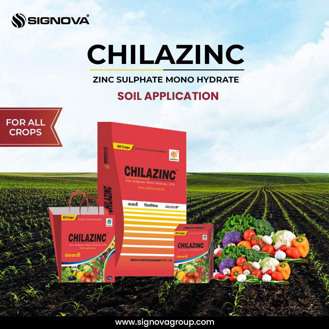 Signova Group Of Companies in Banjara Hills, Hyderabad - Best ...