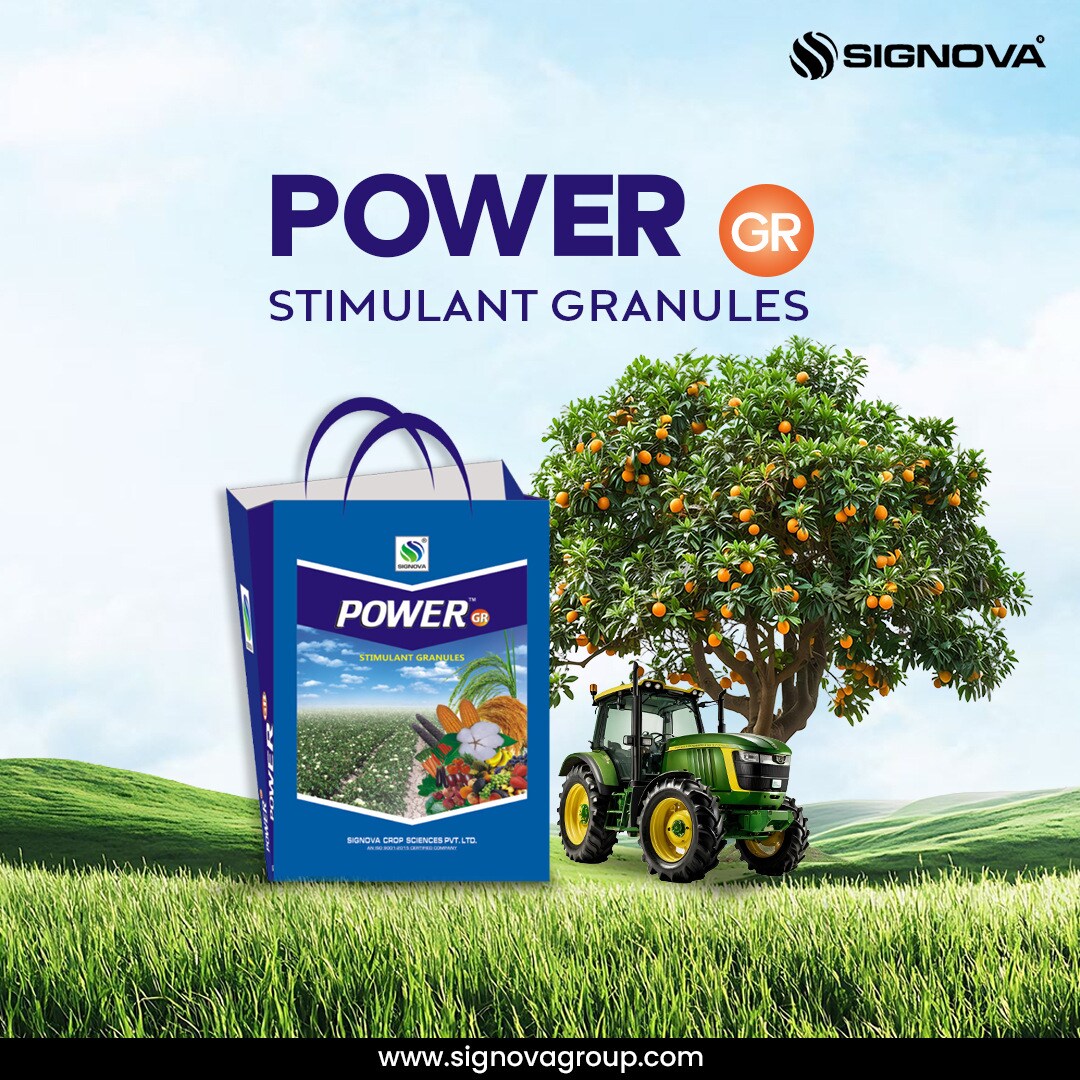 Signova Group Of Companies in Banjara Hills, Hyderabad - Best ...