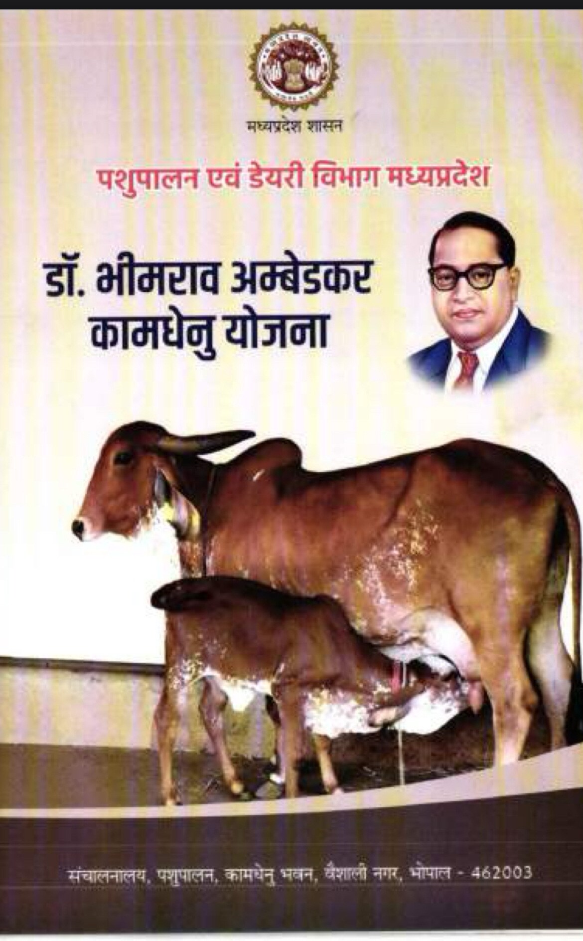 Choudhary Na Chorra Dairy Farm Mundi in Goga Khedi,Indore - Best Milk ...