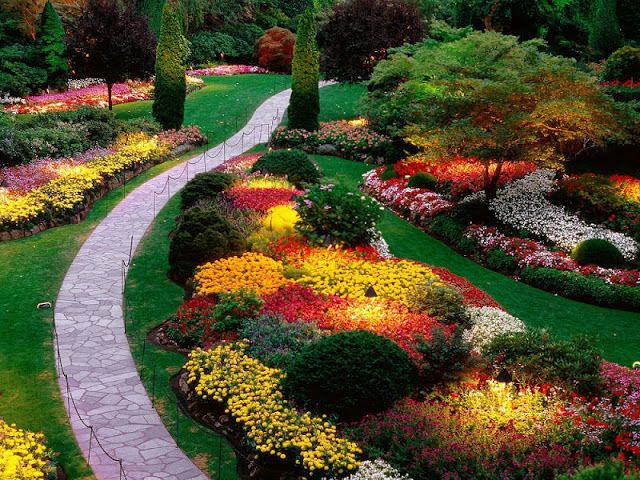 Aadesh Nursery And Farm Landscaping in Burawali,Hasanpur - Best Plant ...