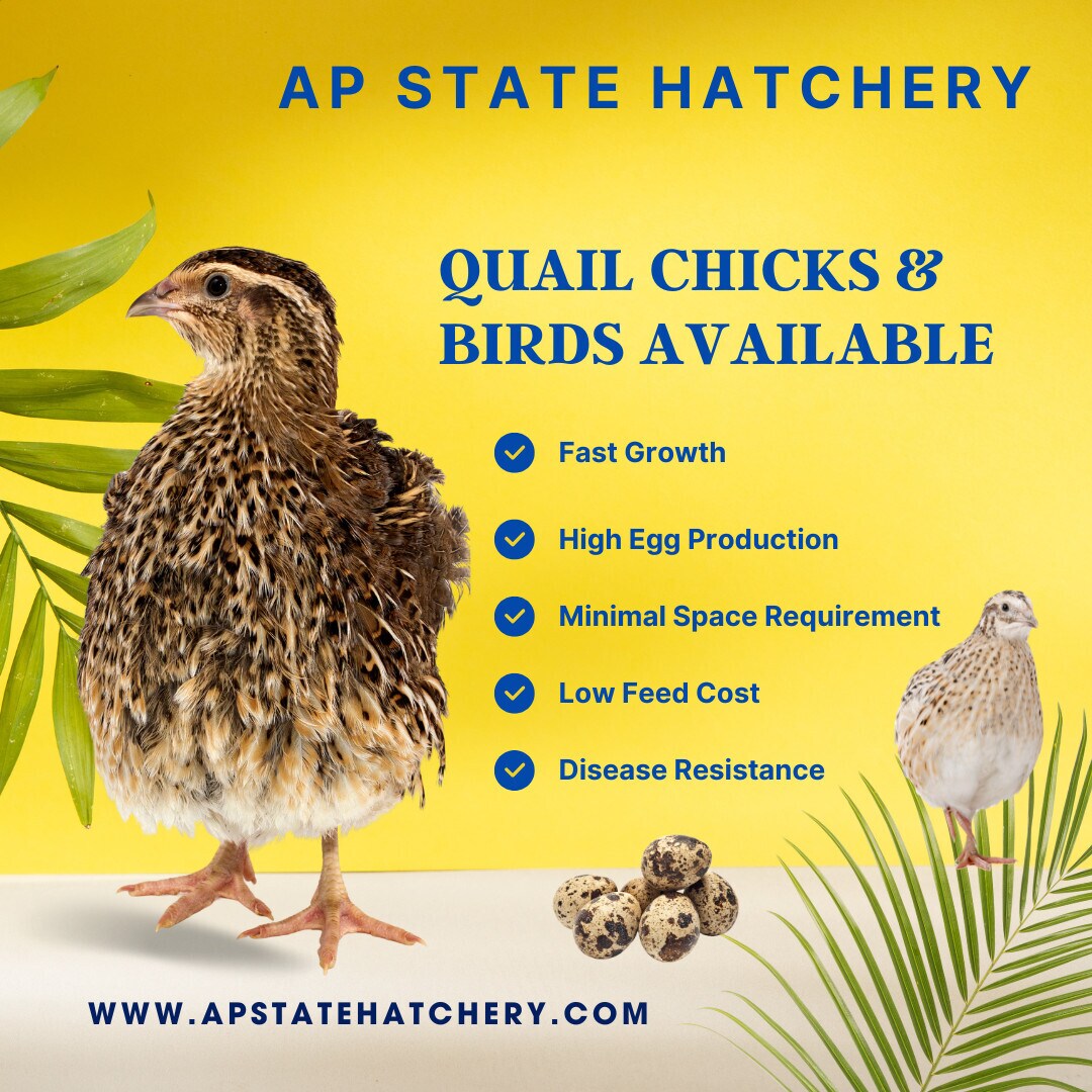 Ap State Hatchery in Akkayapalli, Kadapa - Best Agro Farming Services ...