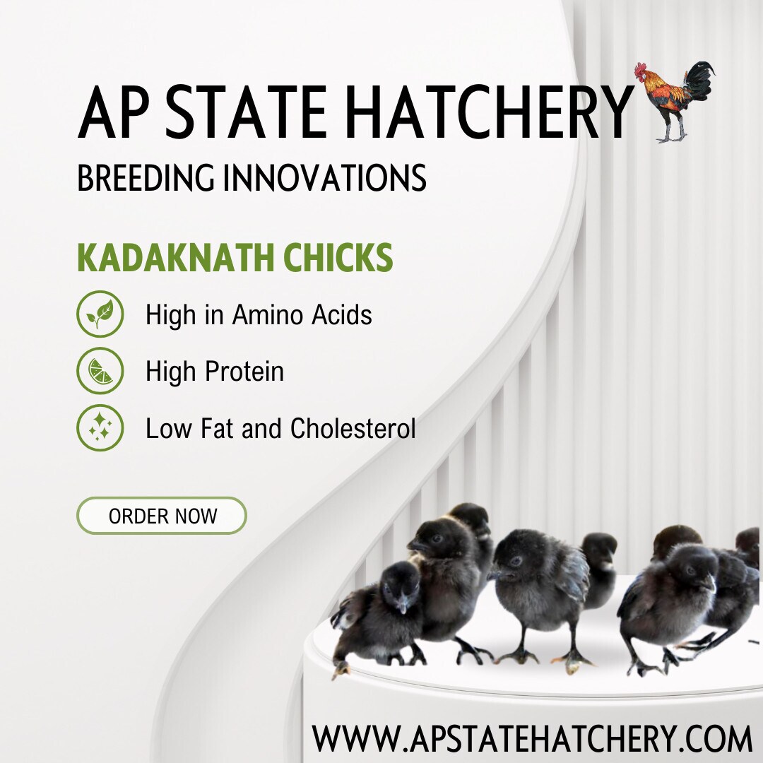 Ap State Hatchery in Akkayapalli, Kadapa - Best Agro Farming Services ...