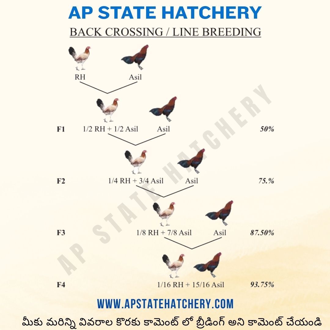 Ap State Hatchery in Akkayapalli, Kadapa - Best Agro Farming Services ...