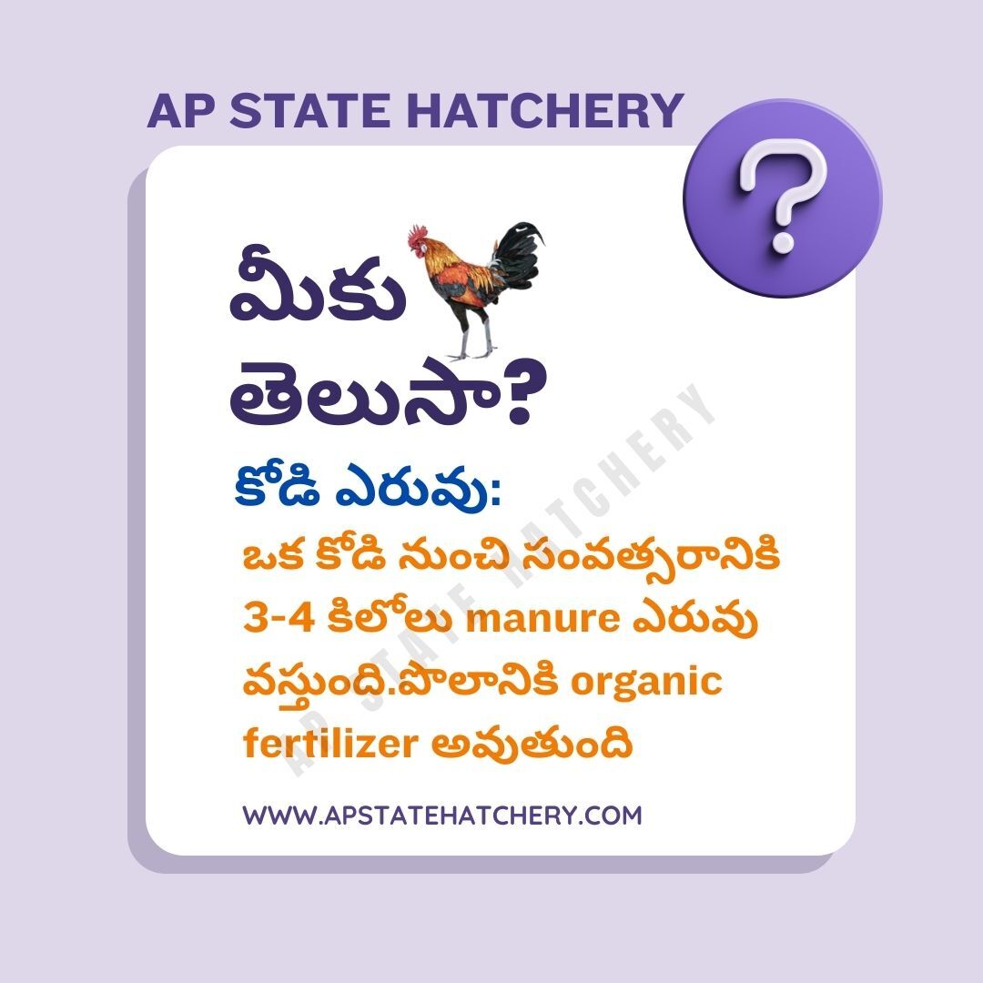 Ap State Hatchery in Akkayapalli, Kadapa - Best Agro Farming Services ...