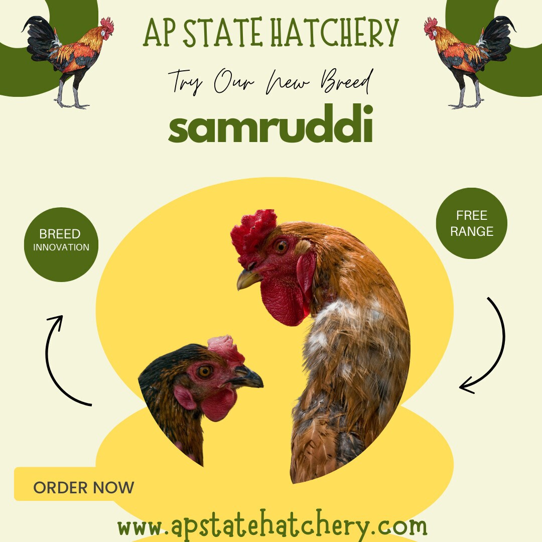Ap State Hatchery in Akkayapalli, Kadapa - Best Agro Farming Services ...