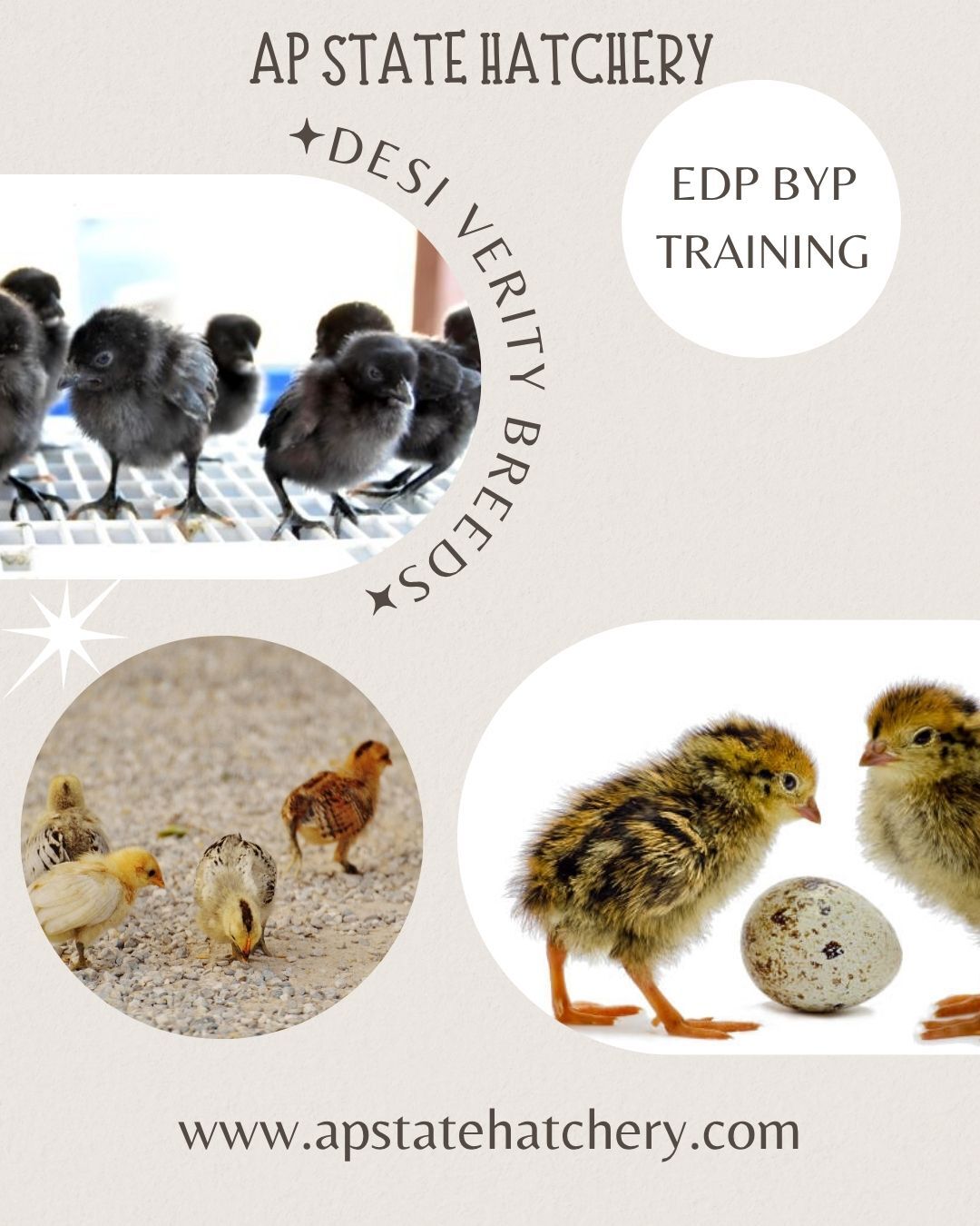 Ap State Hatchery in Akkayapalli, Kadapa - Best Agro Farming Services ...