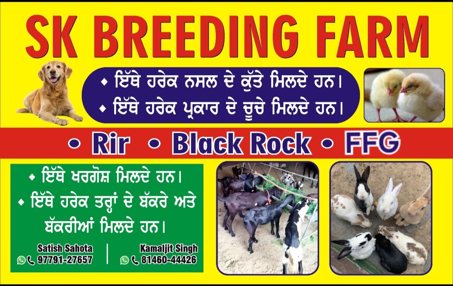 Sk Goat & Poultry Farm in Sultanpur Lodhi, Kapurthala - Best Poultry ...