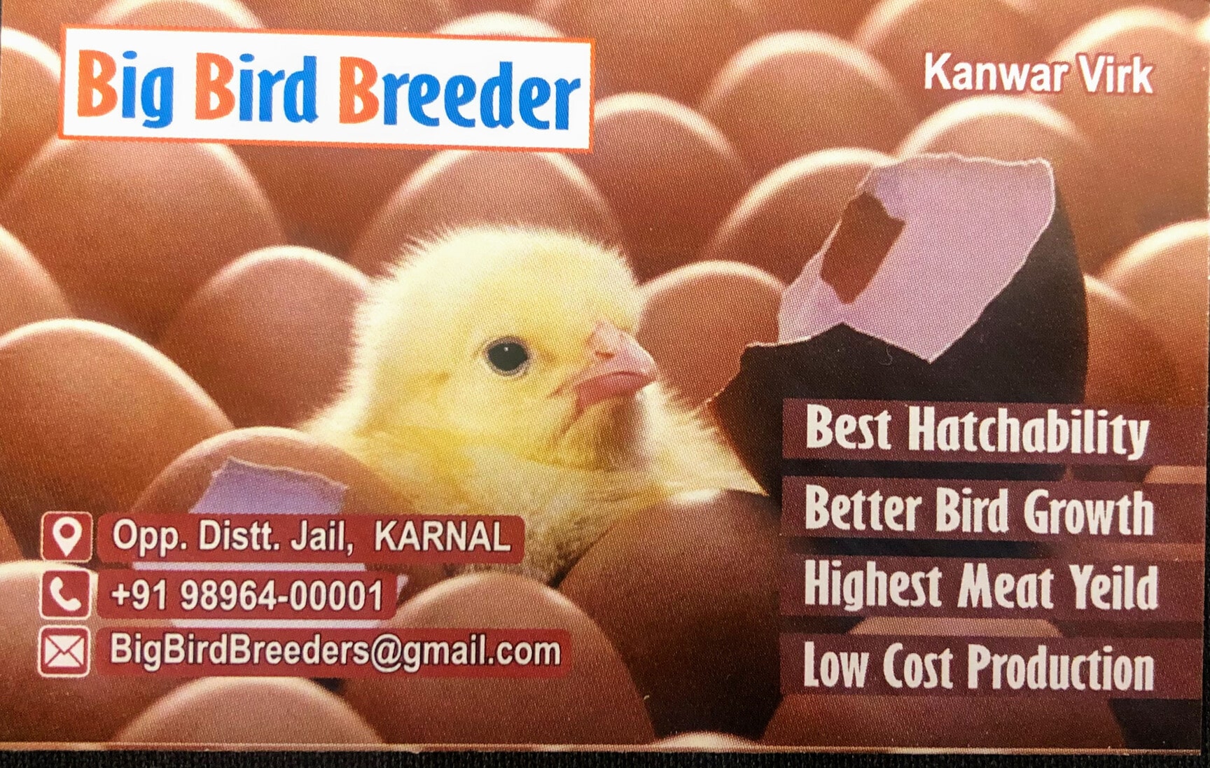 Big Bird Breeders in Dabri, Karnal - Best Poultry Farms in Karnal ...