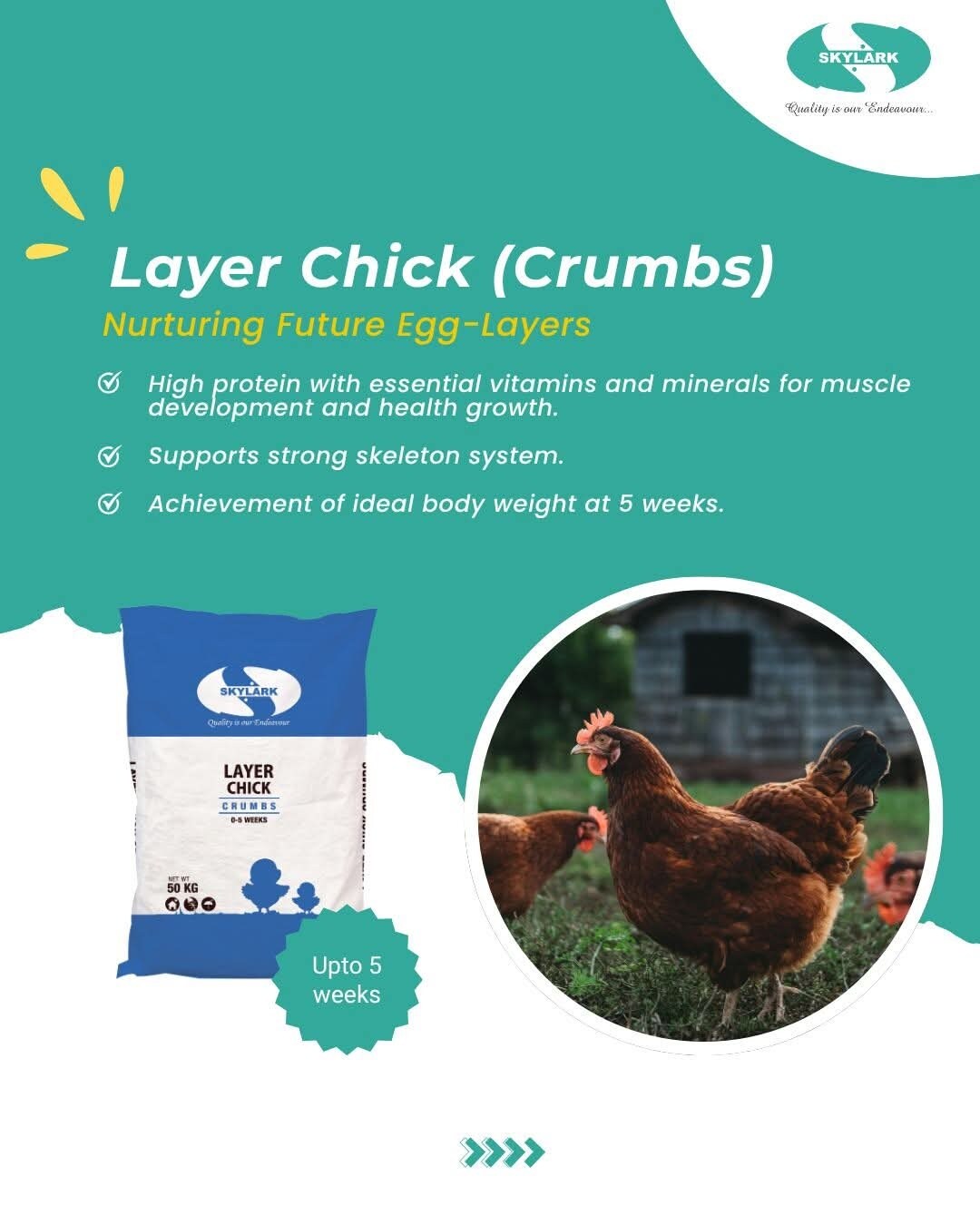 Dev Bhoomi Feed in Arya Nagar, Kashipur - Best Poultry Feed ...