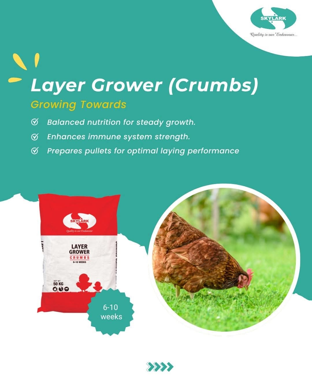 Dev Bhoomi Feed in Arya Nagar, Kashipur - Best Poultry Feed ...