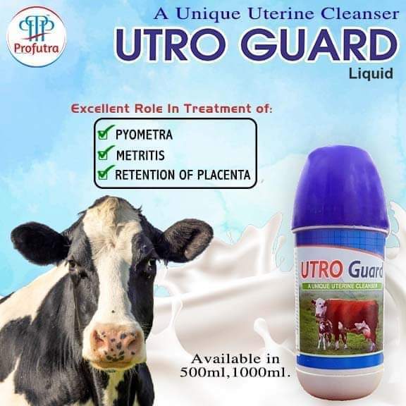 Vet Med Pharma in Drugmulla, Kupwara - Best Veterinary Medicine ...