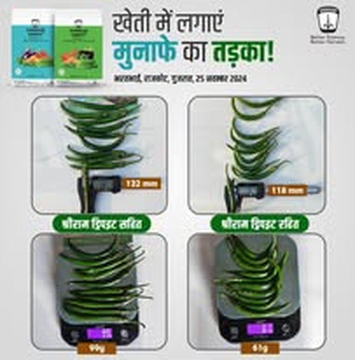 YASH KHAD BHANDAR in Sabalgarh, Morena - Best Fertilizer Dealers in ...