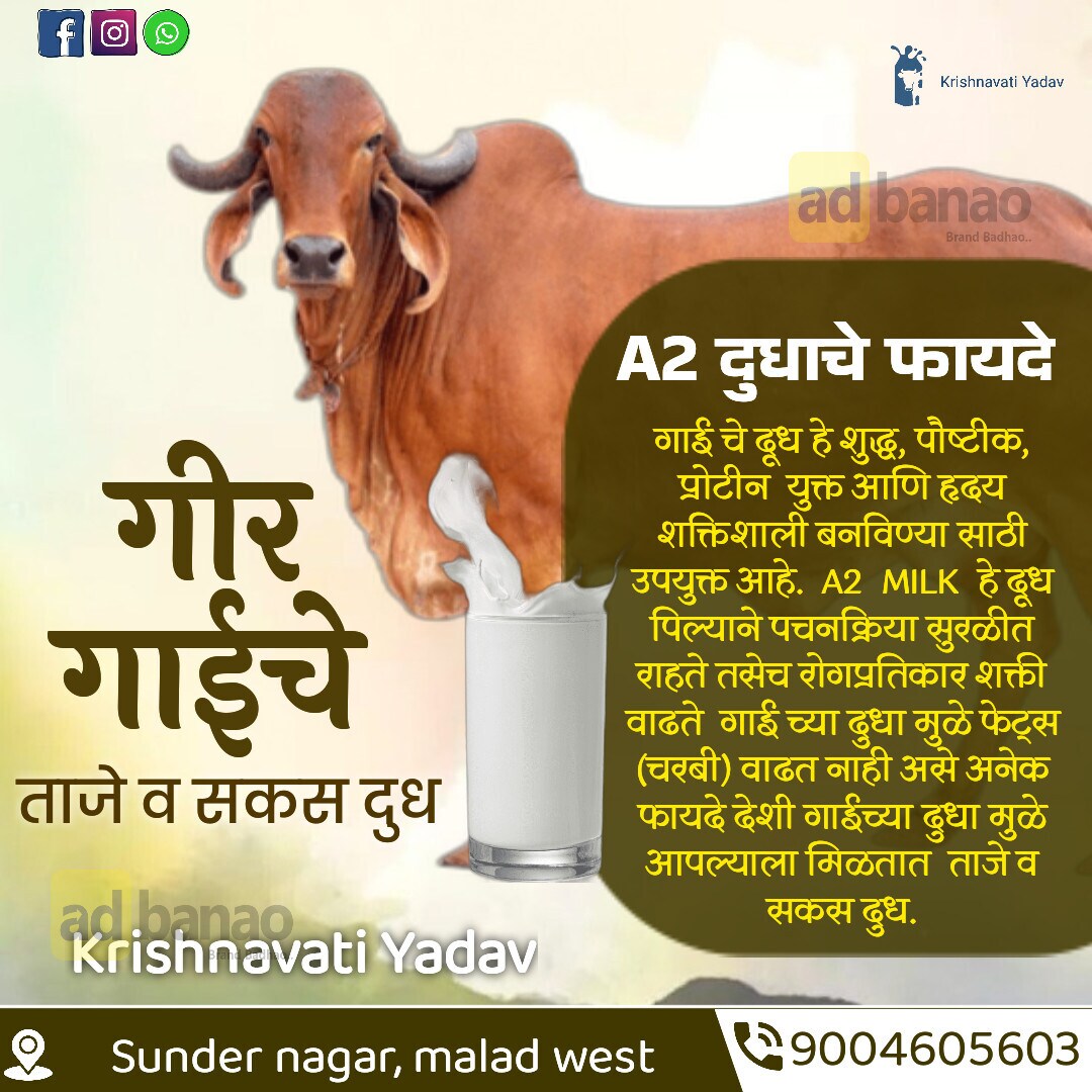 Shree Rammurat Yadav Dairy in Malad,Mumbai - Best Milk Dairy near me in ...
