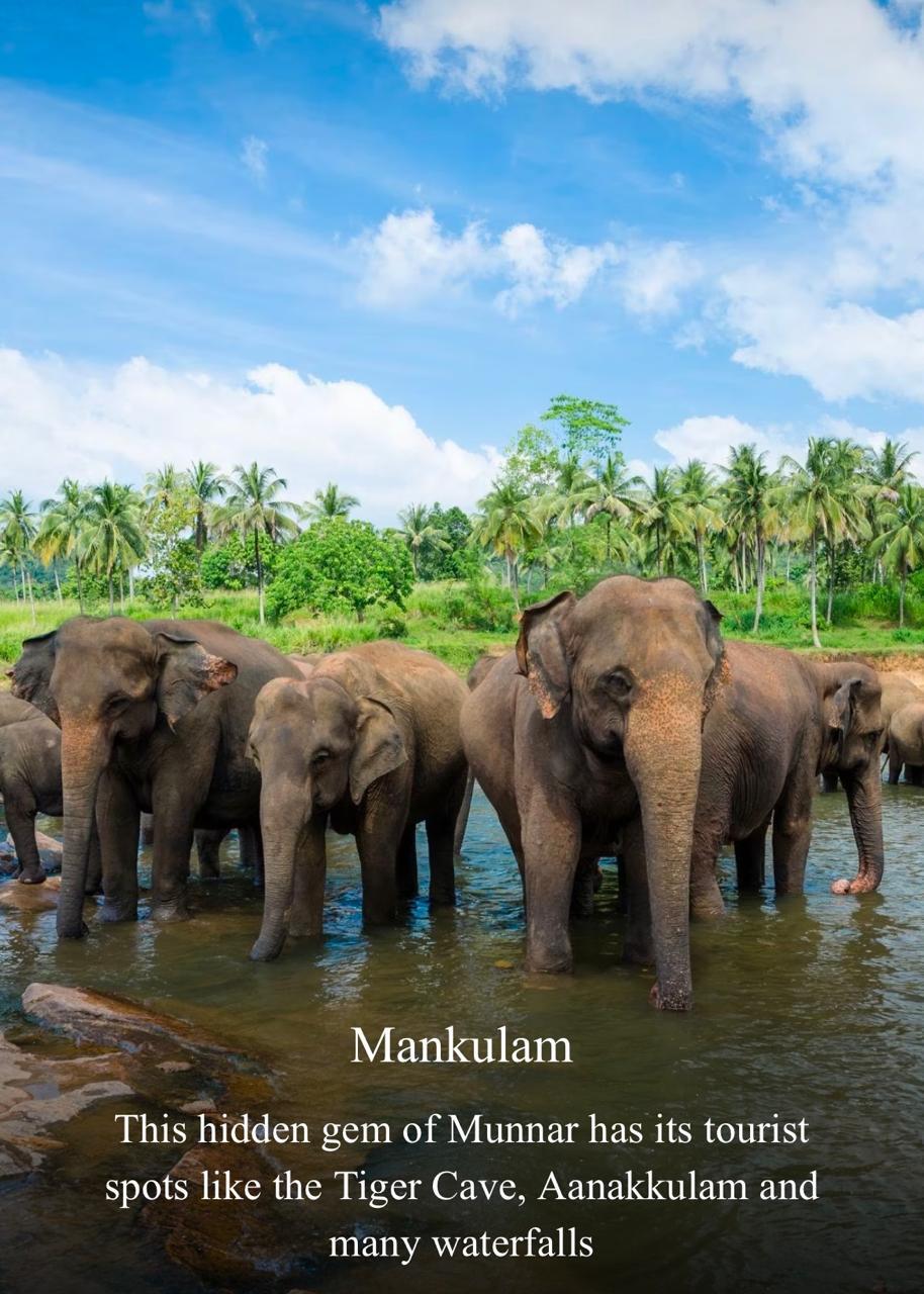 Munnar Explore The South India Kashmir in Munnar Colony,Munnar - Best ...
