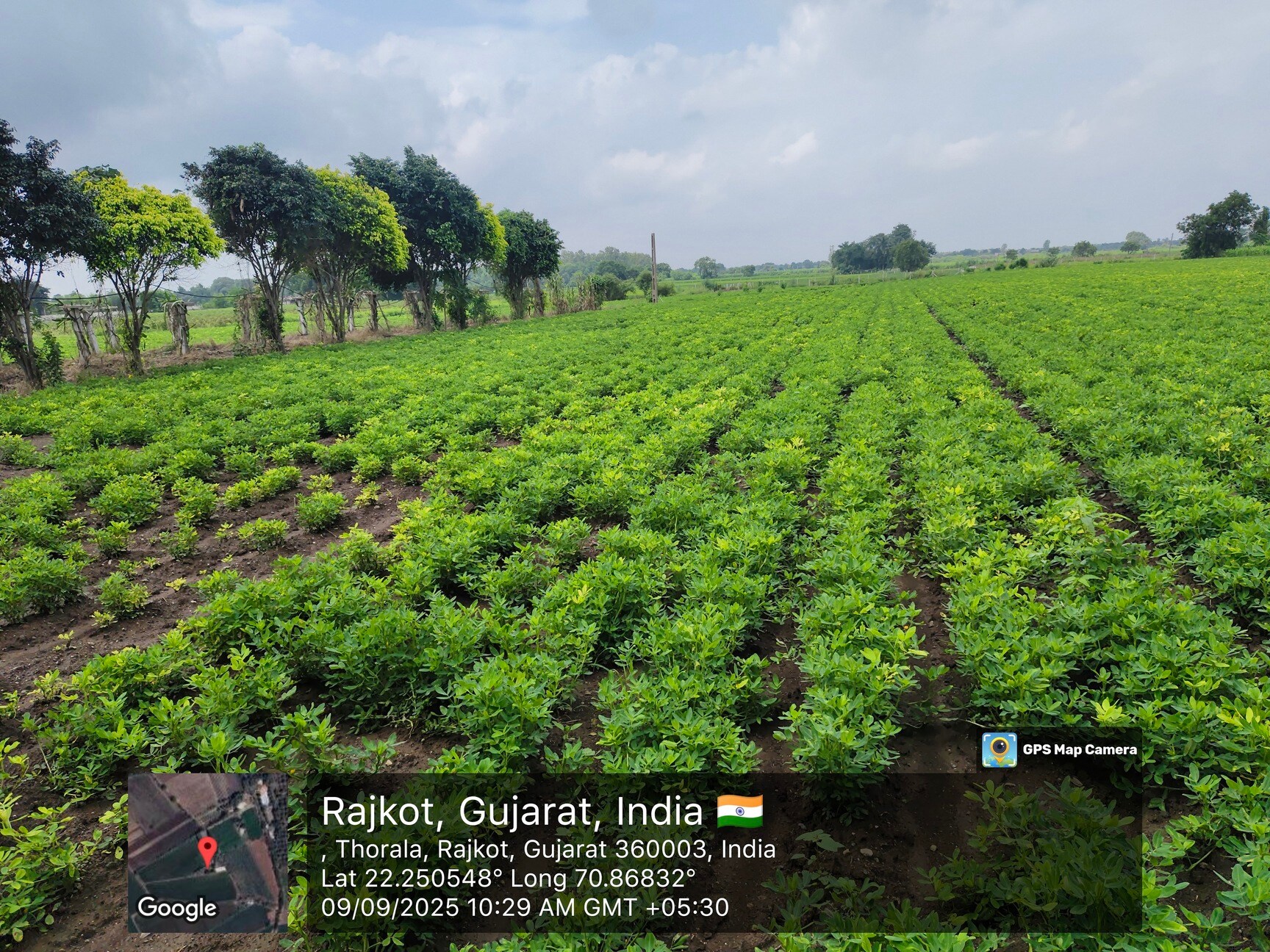 Kk Farm in Mahika, Rajkot - Best Agro Farming Services in Rajkot - Justdial