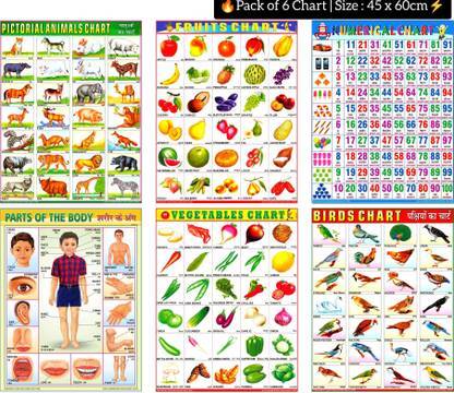 Maps & Charts Hub in Rangareddy - Best Map Dealers near me in ...