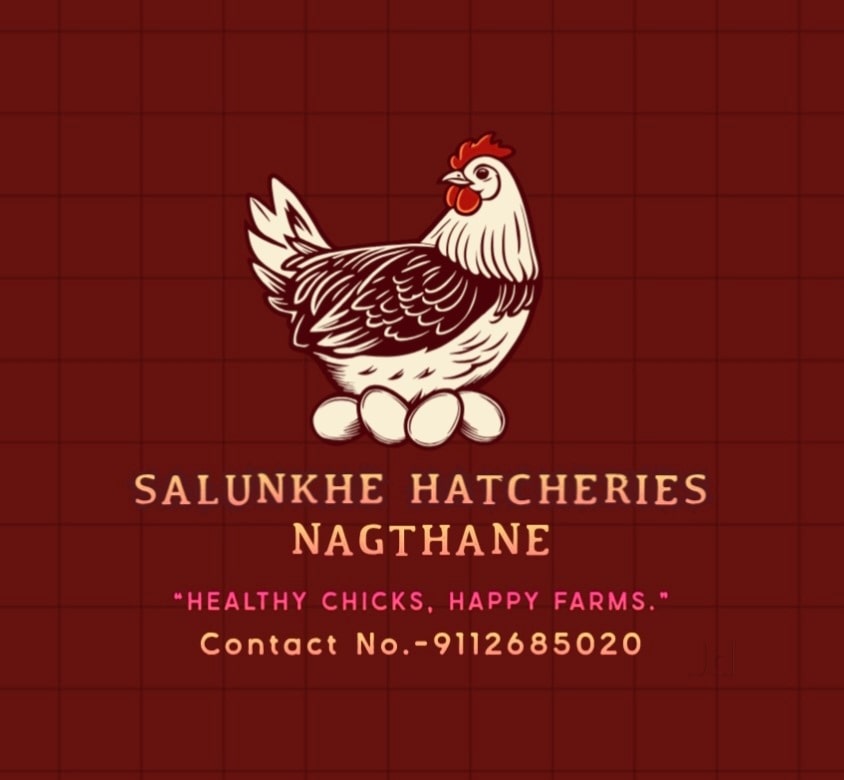 Salunkhe Hatcheries Nagthane in Nagthane, Satara - Best Country Chicken ...